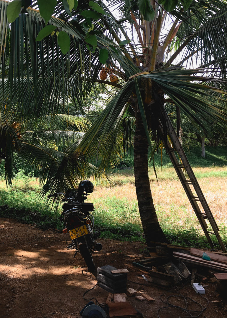 A Secret Jungle Treehouse in Sri Lanka — ELSEWHERE