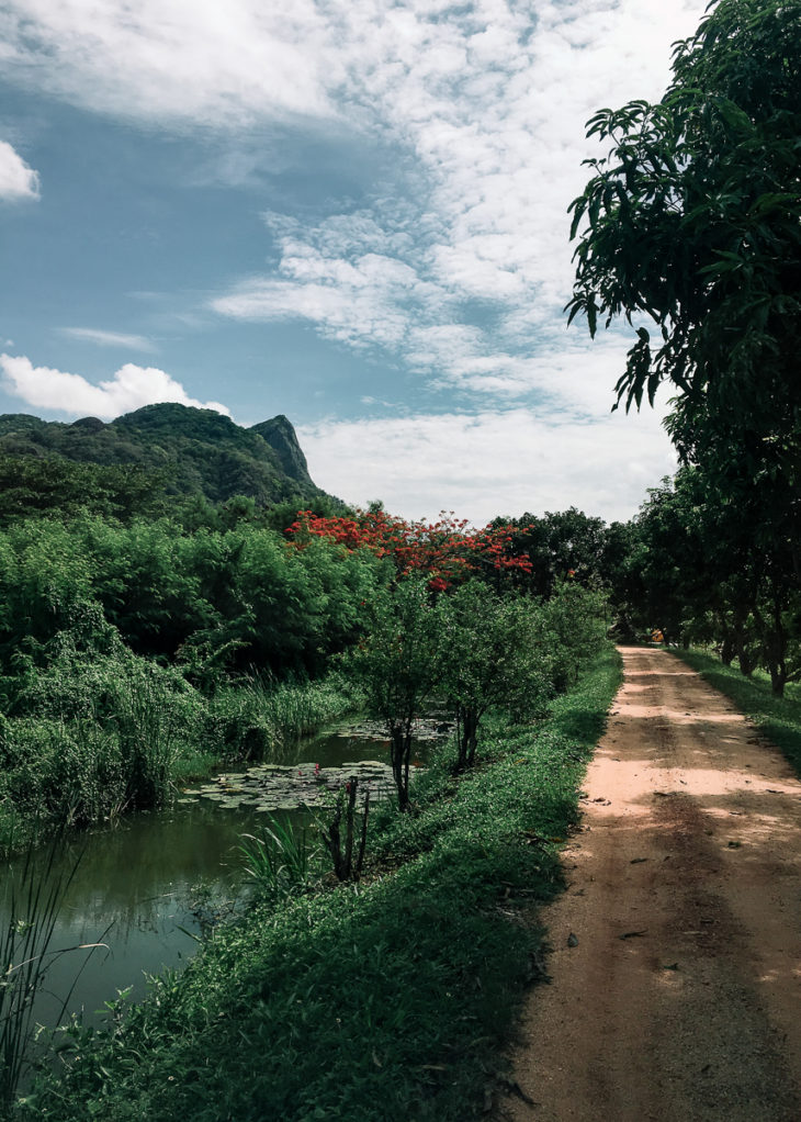 A Secret Jungle Treehouse in Sri Lanka — ELSEWHERE
