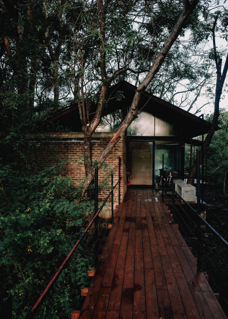 A Secret Jungle Treehouse in Sri Lanka — ELSEWHERE