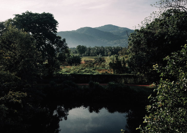A Secret Jungle Treehouse in Sri Lanka — ELSEWHERE